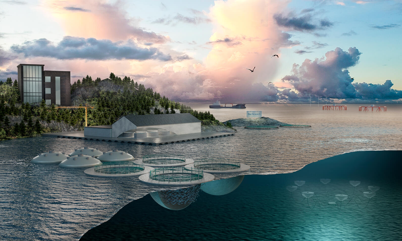 Aquaculture technology – AquaNext