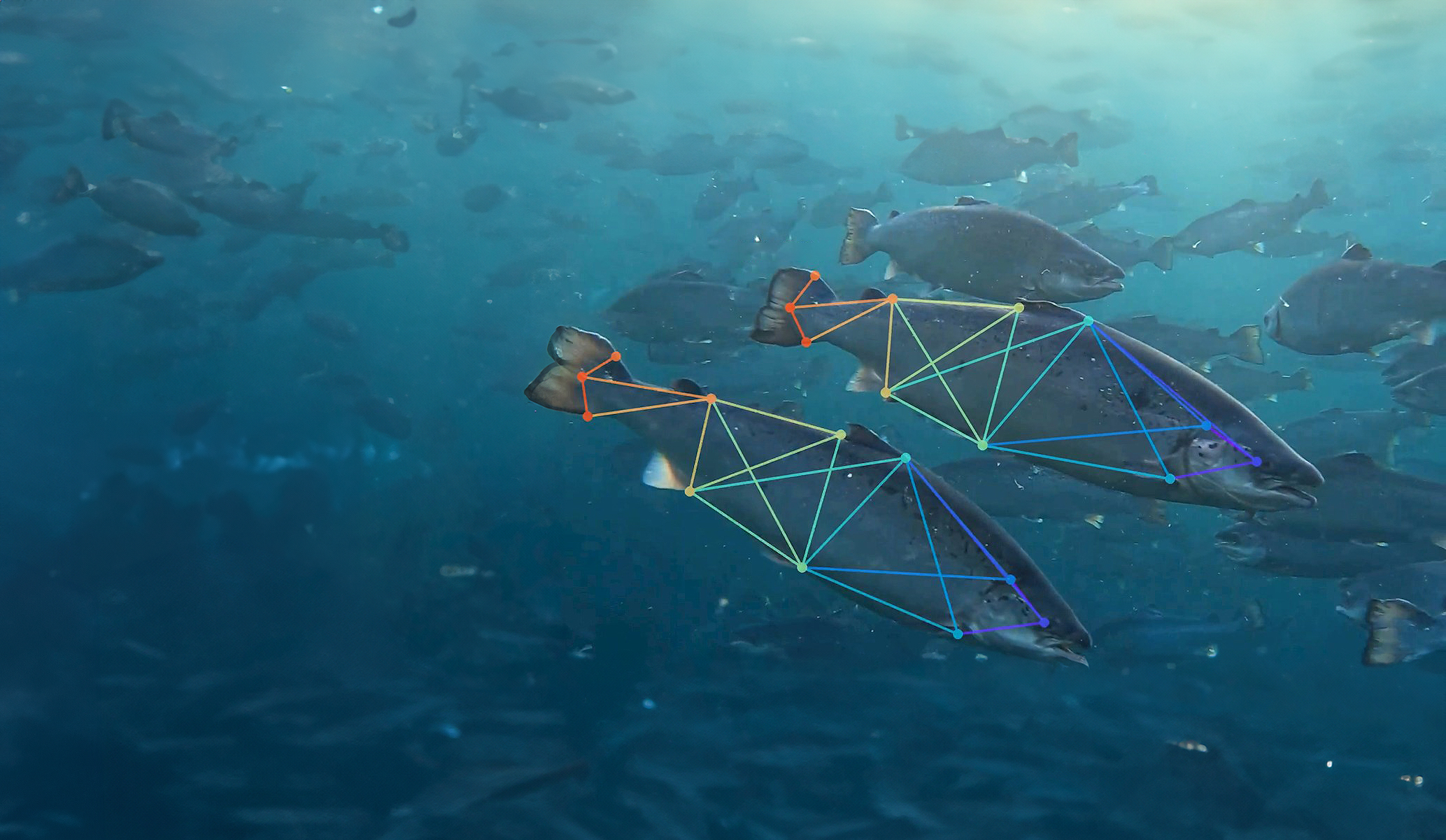 Biology and fish health – AquaNext